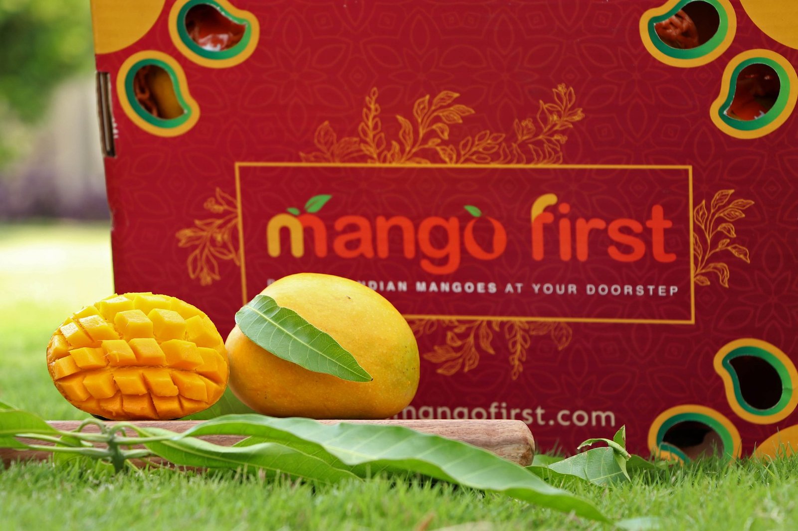 Mango First | Premium Indian Mangoes At Your Doorstep