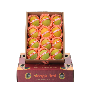 Mango First | Premium Indian Mangoes At Your Doorstep